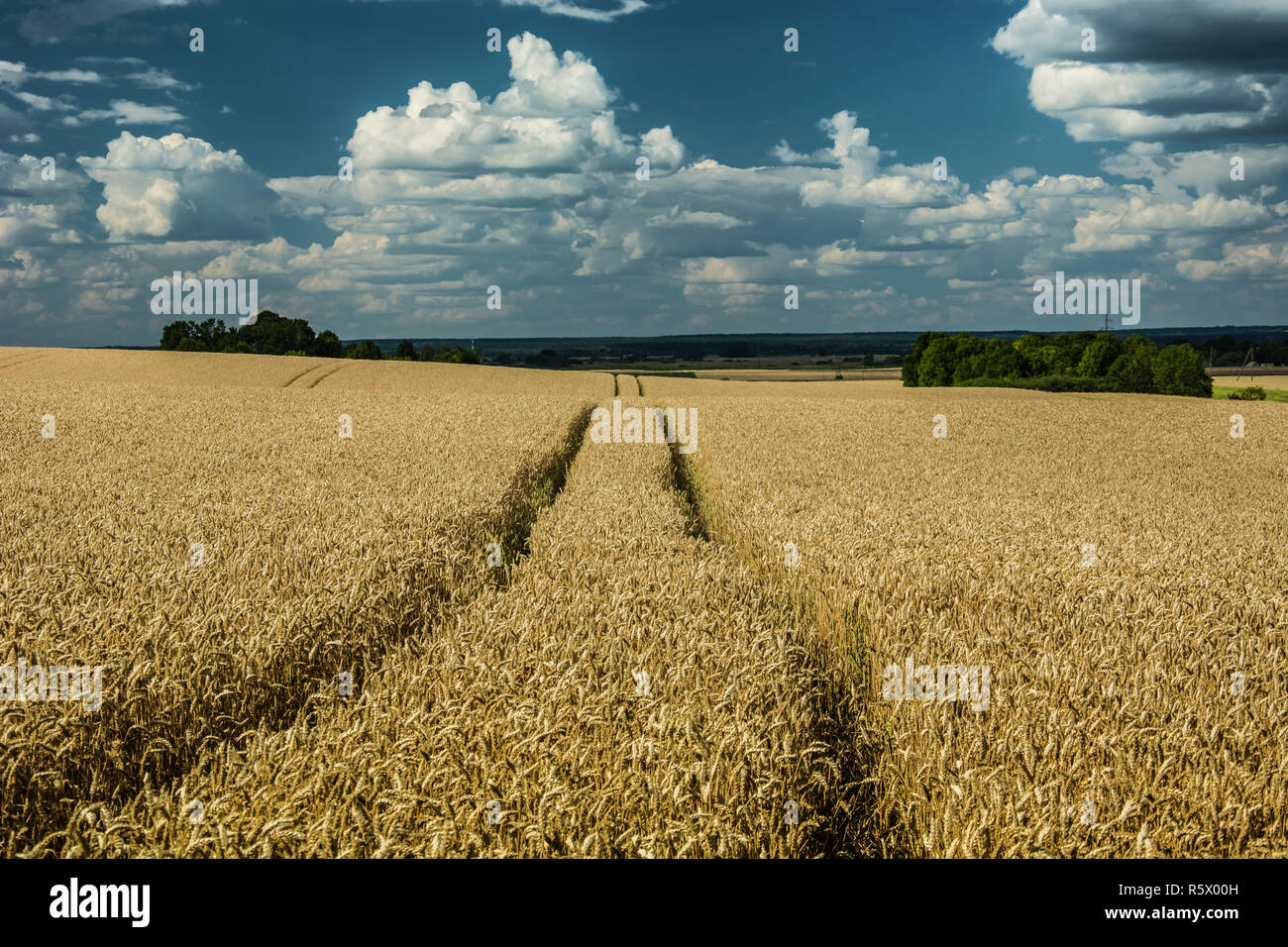 Beauty of horizon hi-res stock photography and images - Alamy