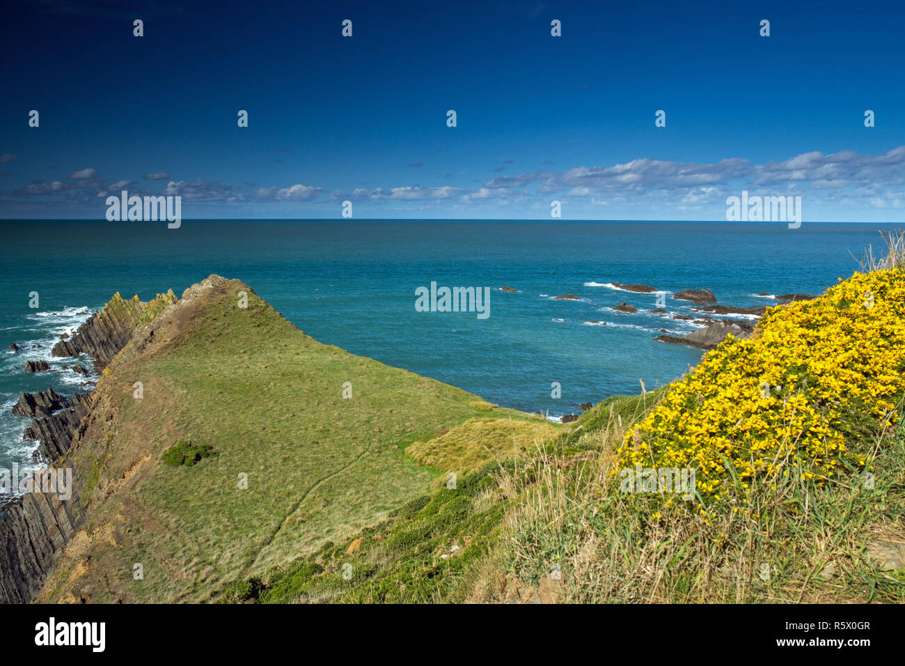 beautiful and rugged North Devon coastline at Hartland Quay along the ...