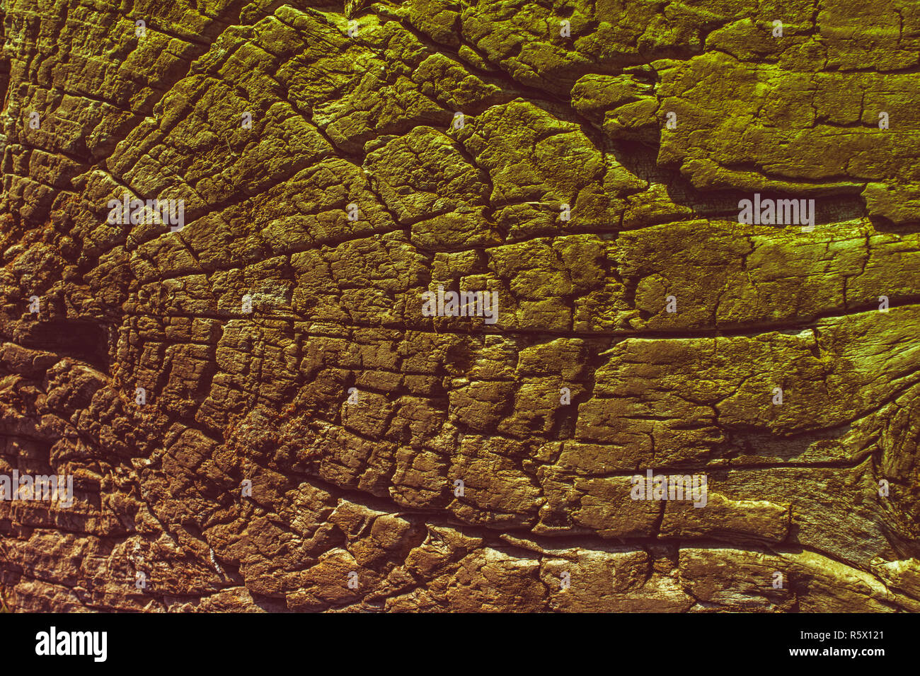 Wood texture with natural patterns as a background Stock Photo - Alamy