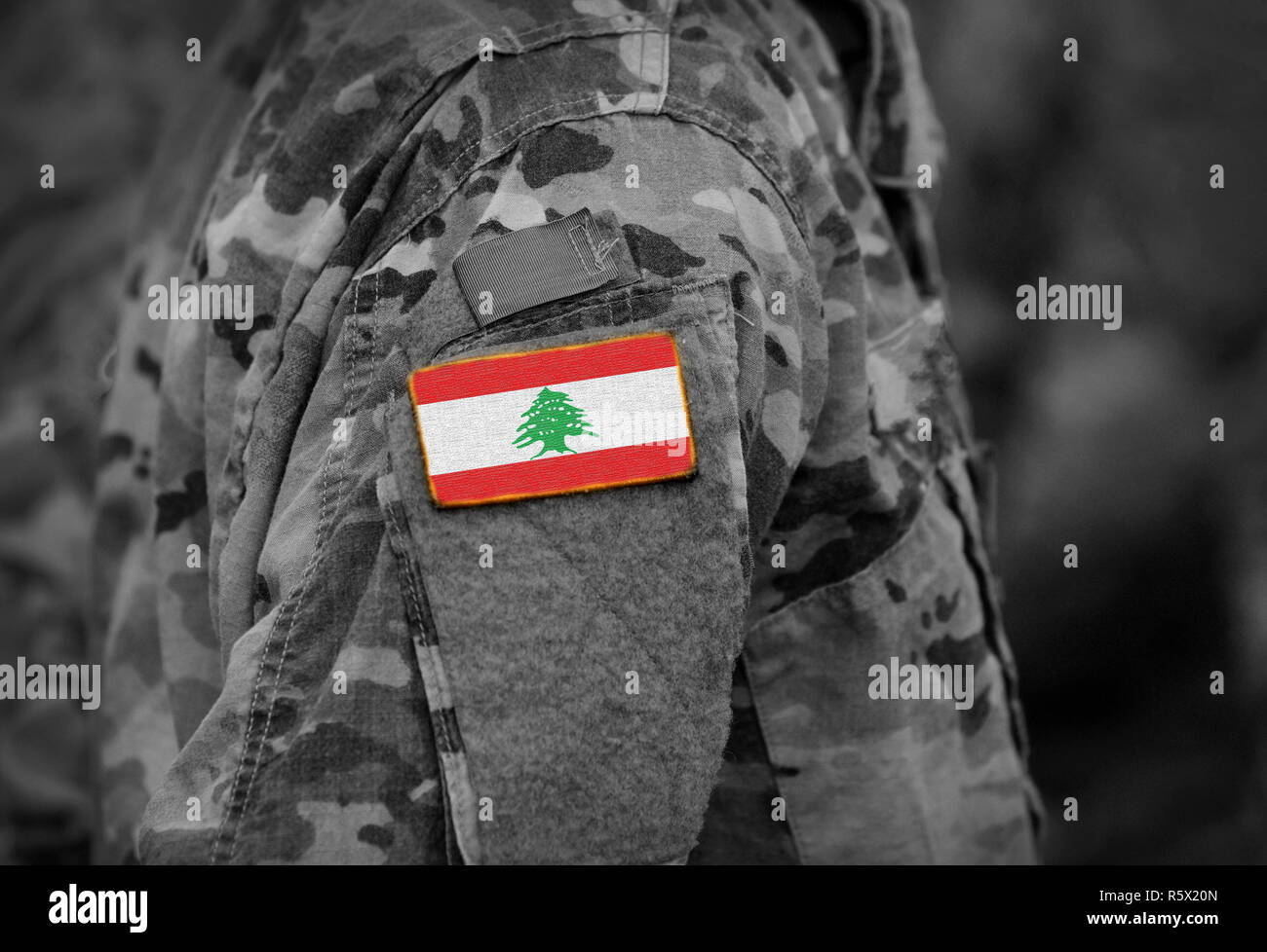 Lebanese Army Flag Wallpaper