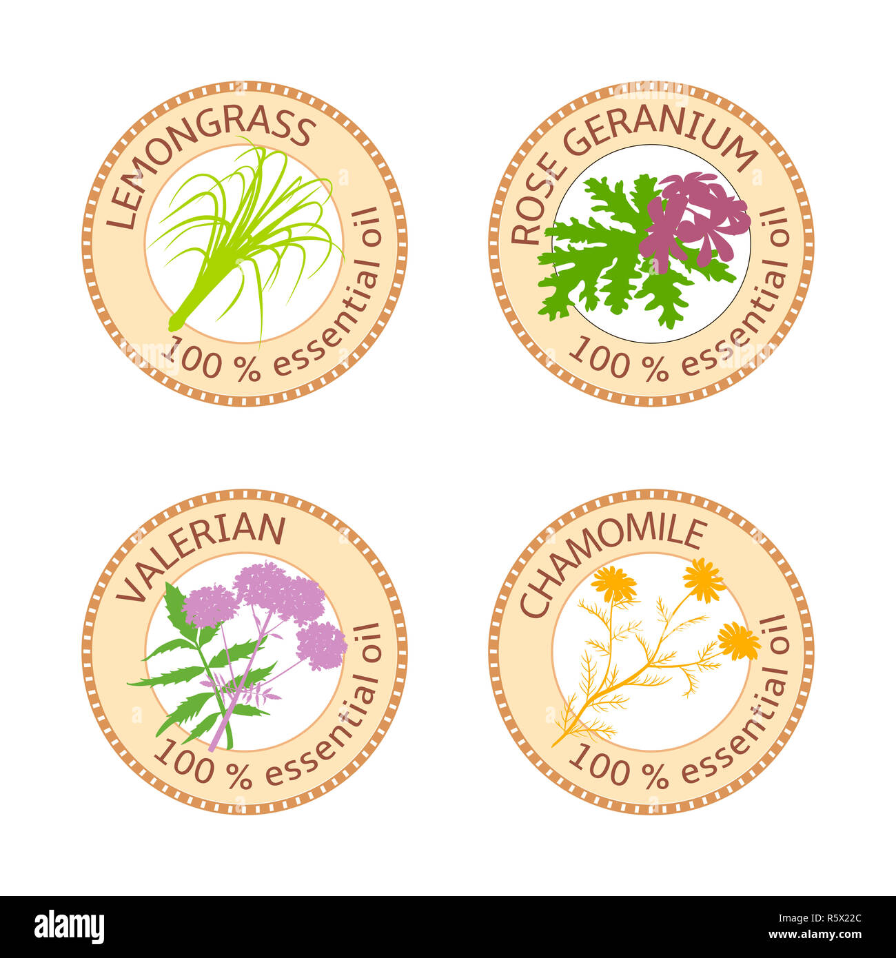 Geranium seeds Cut Out Stock Images & Pictures - Alamy