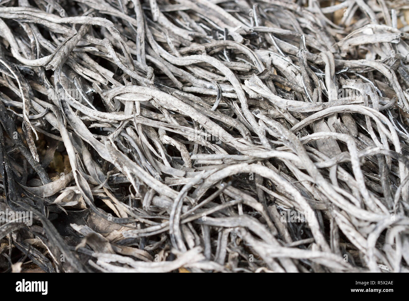 Burned Out Ashes of twigs, grass Stock Photo - Alamy