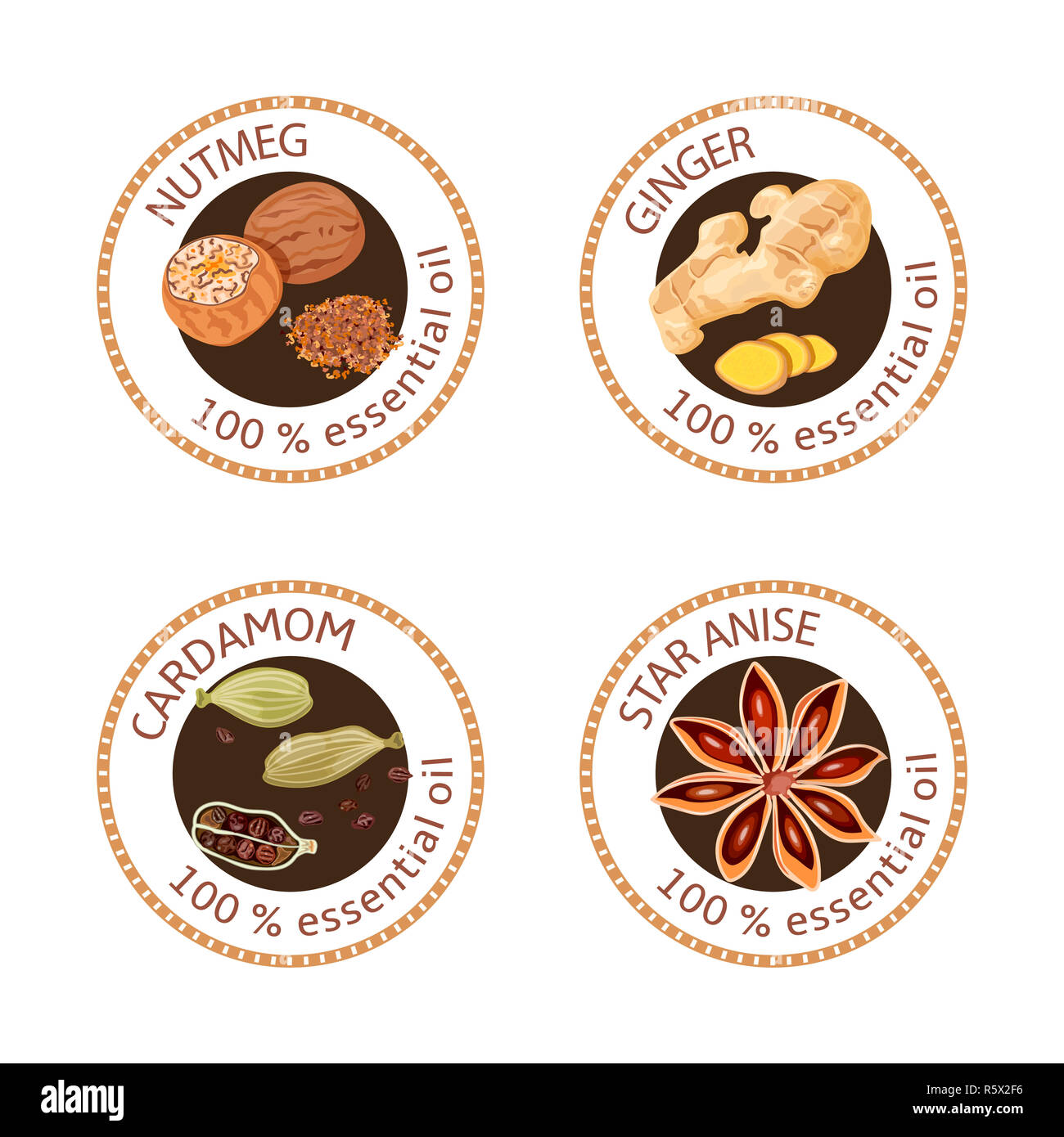 Bitter ginger Cut Out Stock Images & Pictures - Alamy