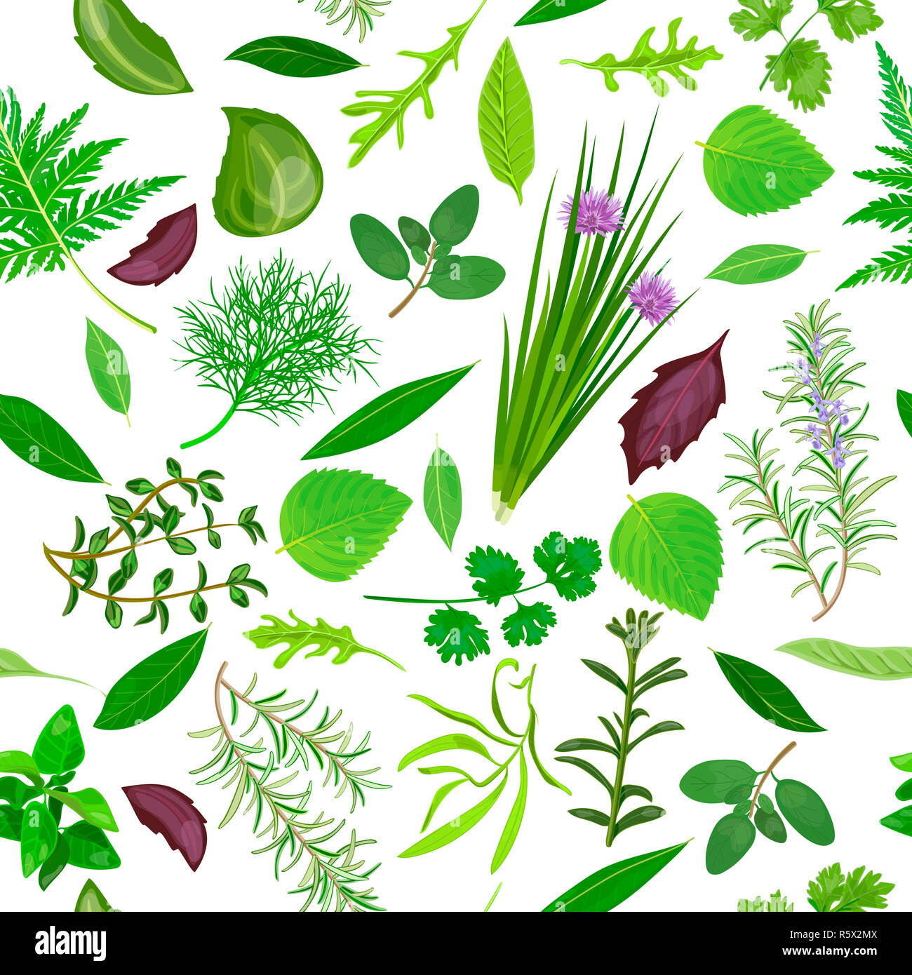 Cooking herbs seamless pattern vector set Stock Photo - Alamy