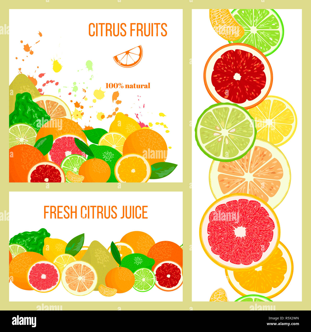 Citrus fruits. Labels set. Bergamot, lemon, grapefruit, lime, mandarin ...
