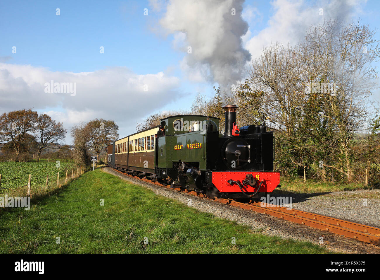 Vale of rheidol railway hi-res stock photography and images - Alamy