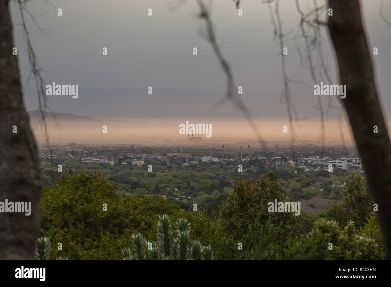 south africa in spring Stock Photo - Alamy