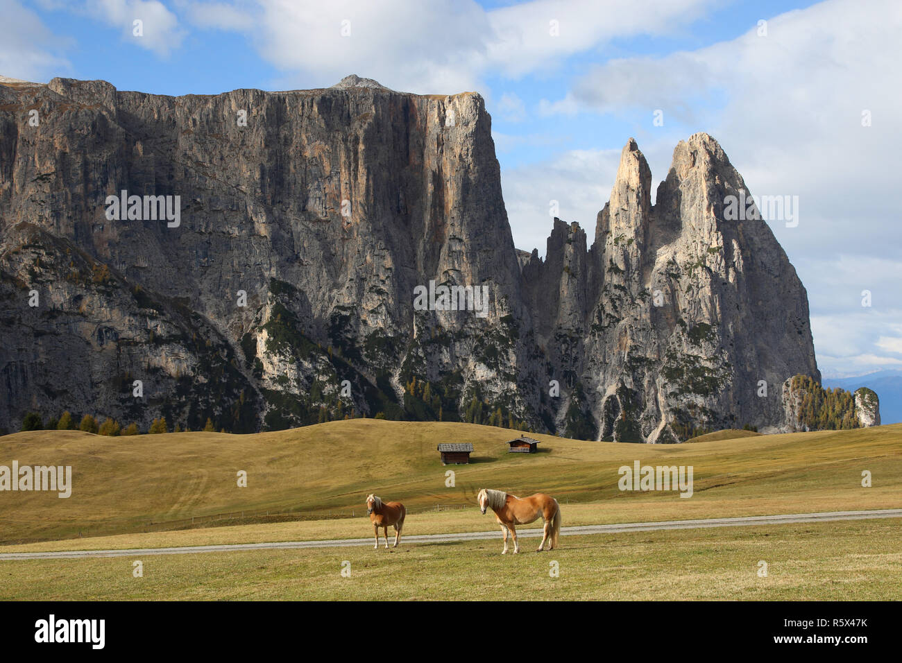 on the alm Stock Photo - Alamy