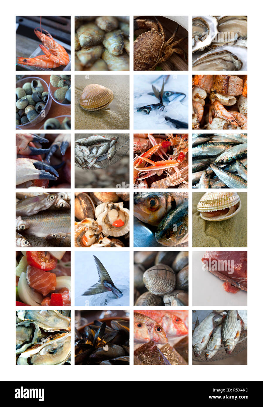 Fishes with shrimp Cut Out Stock Images & Pictures - Alamy
