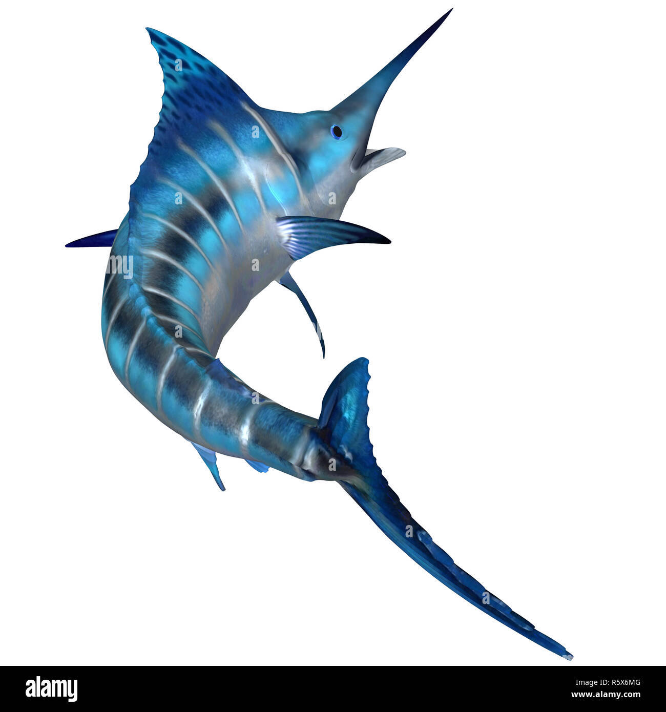Blue Marlin Predator Stock Photo - Alamy