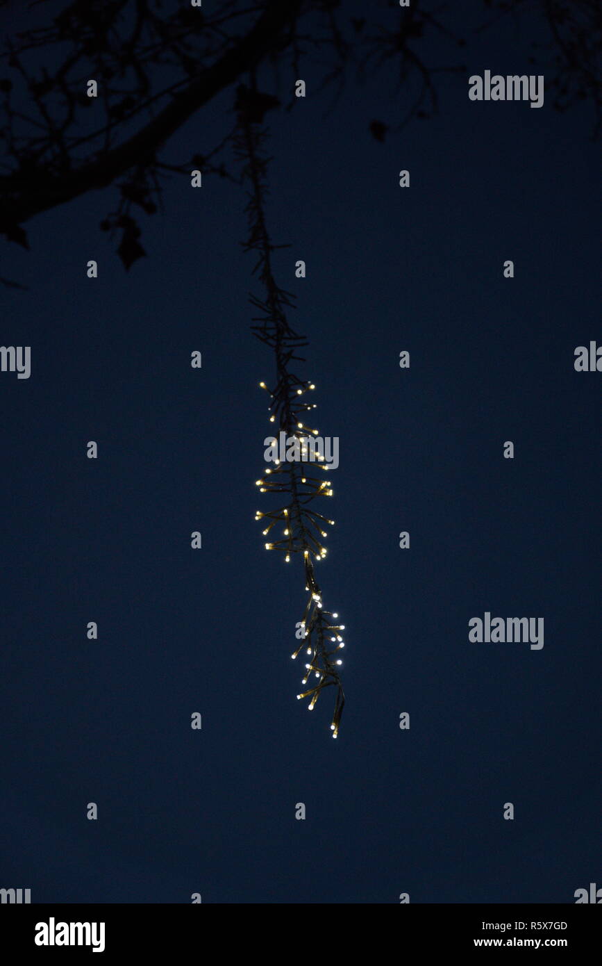 Christmas lights wrapped around tree hi-res stock photography and ...