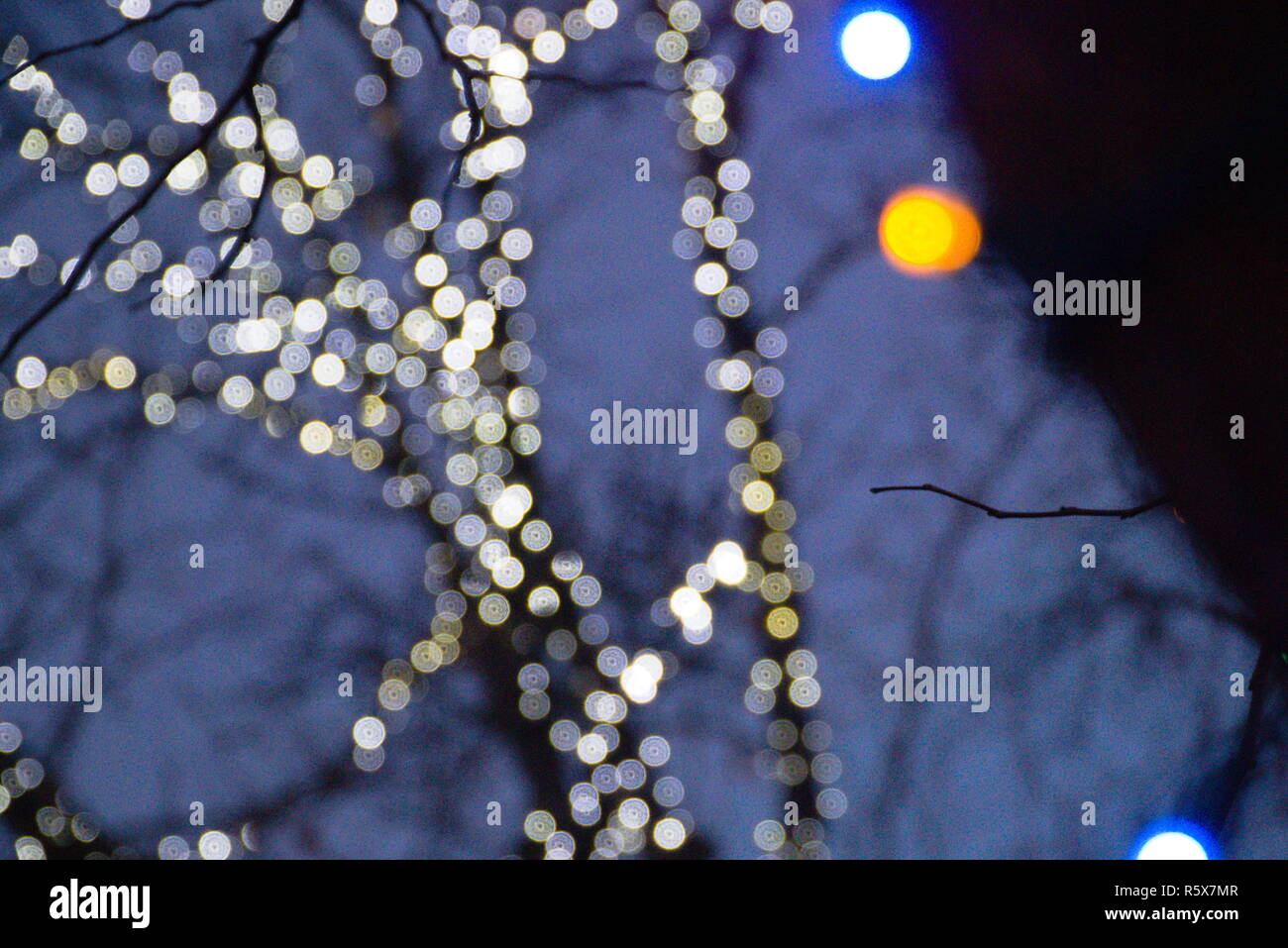 White bokeh lights wrapped around a tree outdoors Stock Photo - Alamy