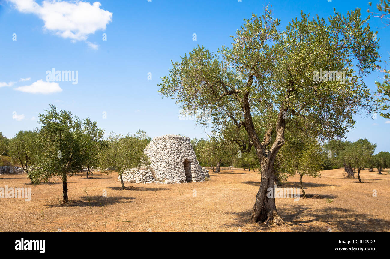 Puglia Region, Italy. Traditional warehouse made of stone Stock Photo ...