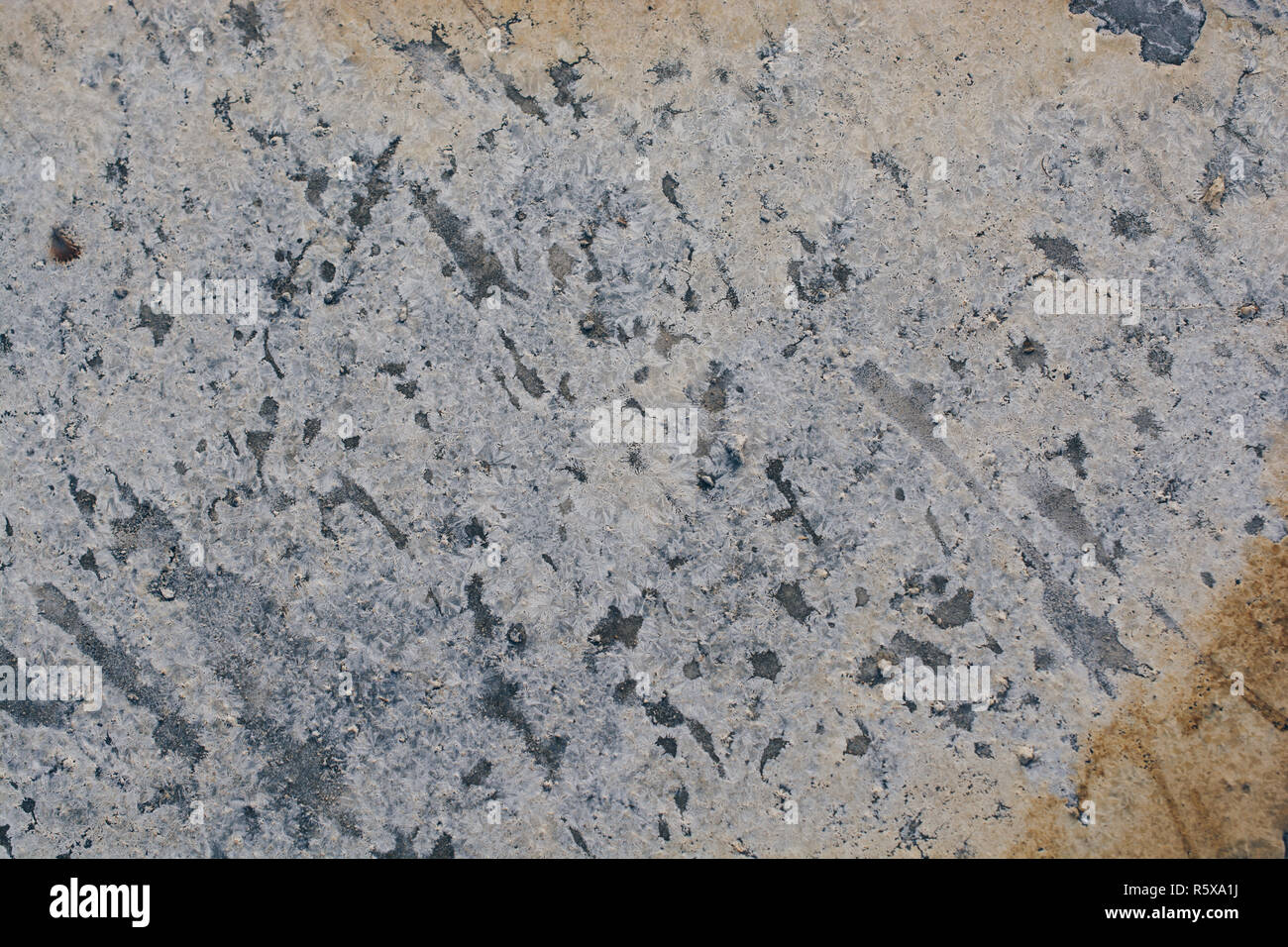 Concrete texture as abstract grunge background patterns Stock Photo - Alamy