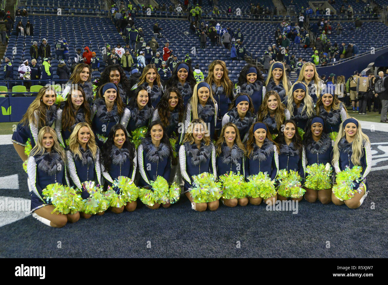 Group of seagals hi-res stock photography and images - Alamy