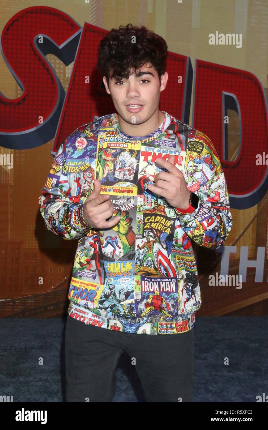 Los Angeles, CA, USA. 1st Dec, 2018. Emery Kelly at arrivals for SPIDER ...