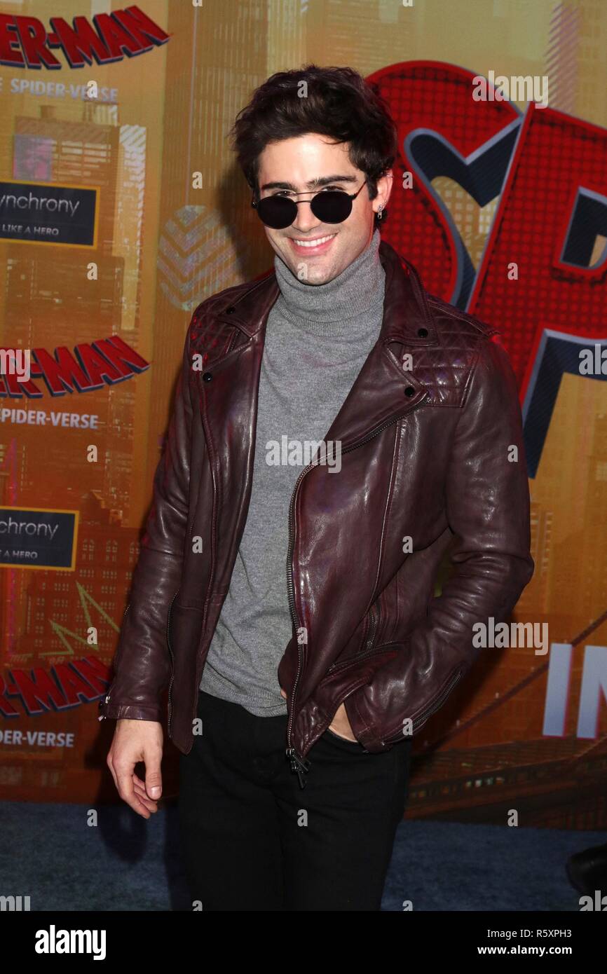 Los Angeles, CA, USA. 1st Dec, 2018. Max Ehrlich at arrivals for SPIDER ...