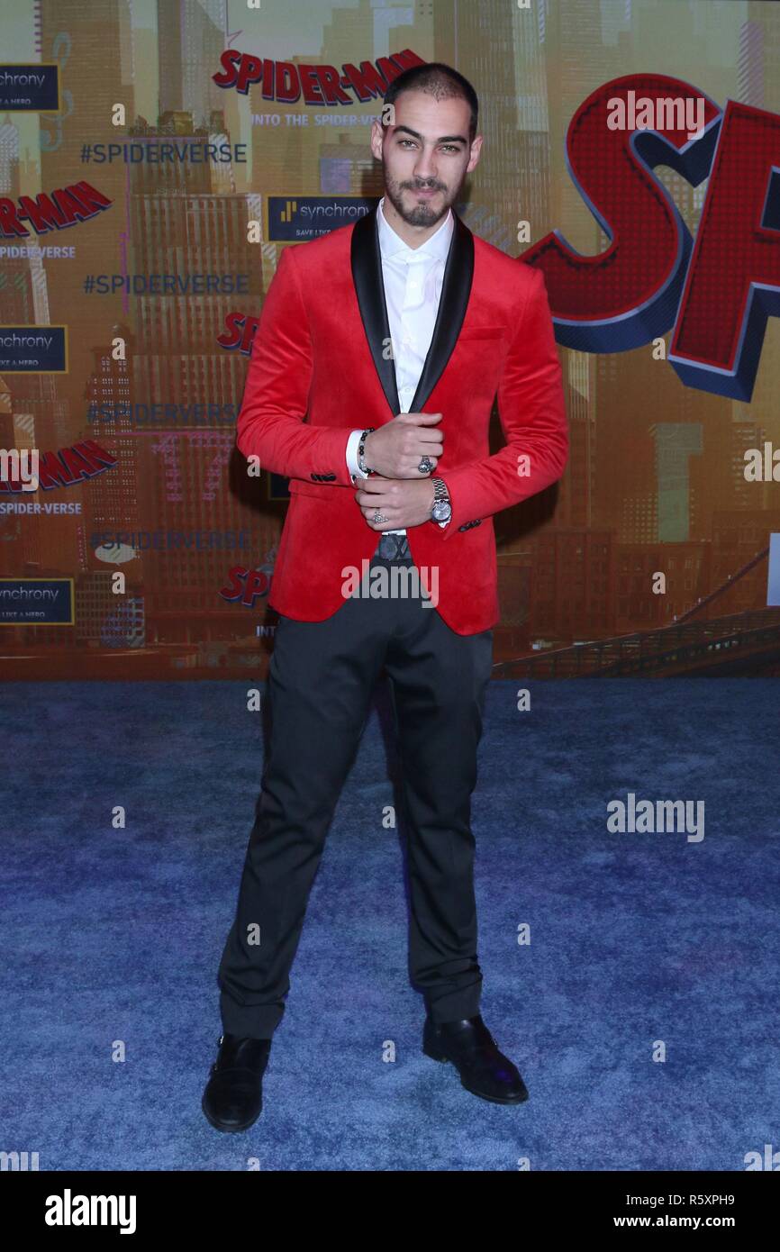 Los Angeles, CA, USA. 1st Dec, 2018. Michel Duval at arrivals for ...
