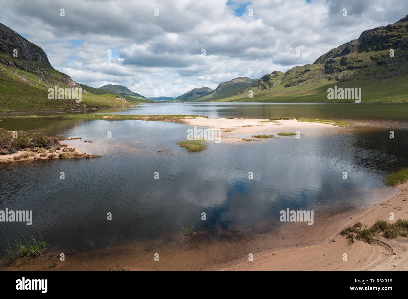 H earba hi-res stock photography and images - Alamy
