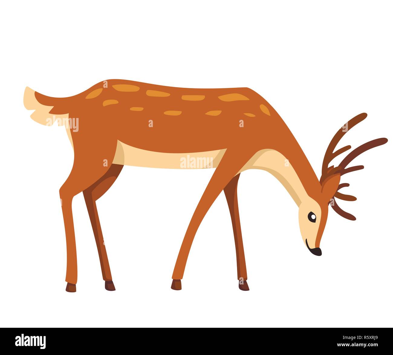 Brown deer. Hoofed ruminant mammals. Cartoon animal design. Cute deer ...