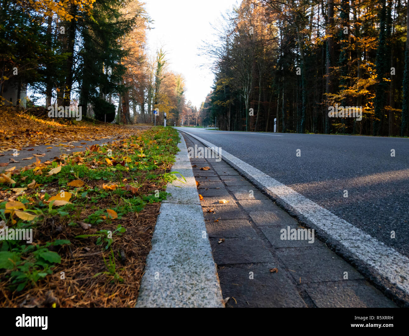 Image of road through the forest during autumn with sun light and ...