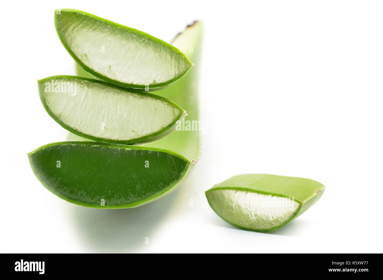 Aloe vera fresh leaf isolated Stock Photo - Alamy