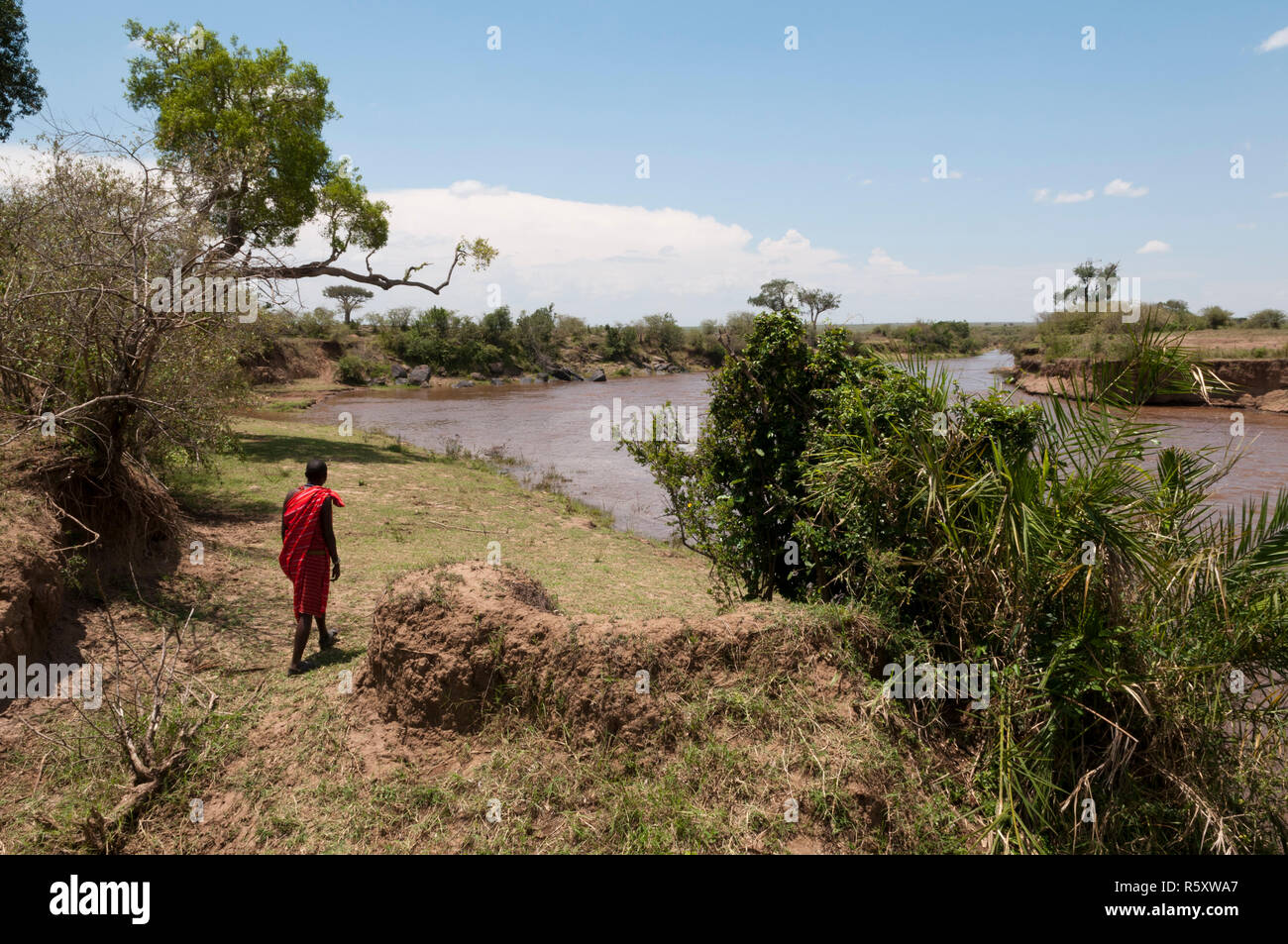 Mara River, Masai Mara, Kenya Stock Photo - Alamy