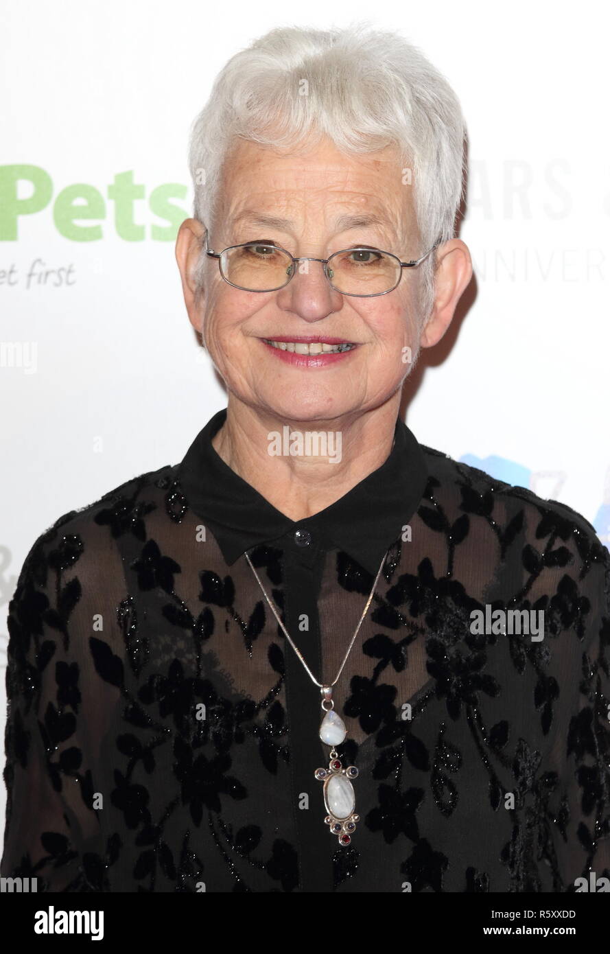 Jacqueline wilson dogs hi-res stock photography and images - Alamy