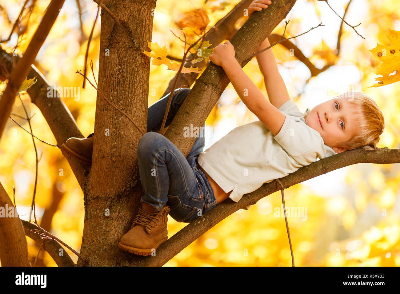 Cute boy climbing tree smiling hi-res stock photography and images - Alamy