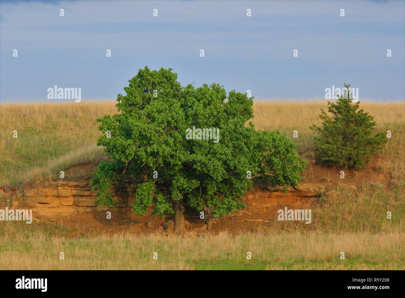 Prairie rocks hi-res stock photography and images - Alamy