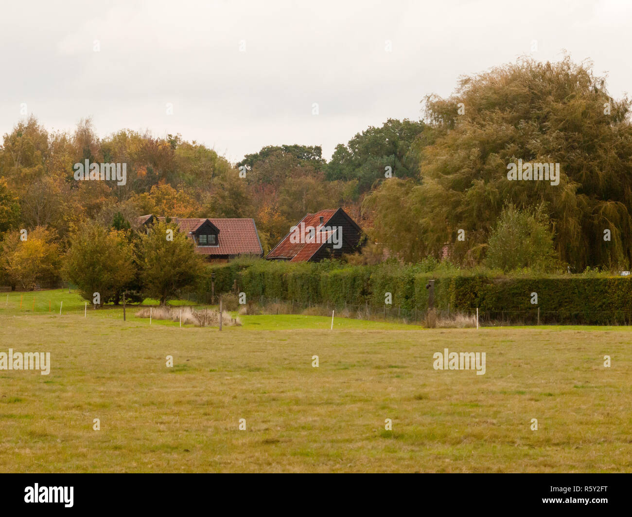 countryside house with grassland in front and trees Stock Photo - Alamy