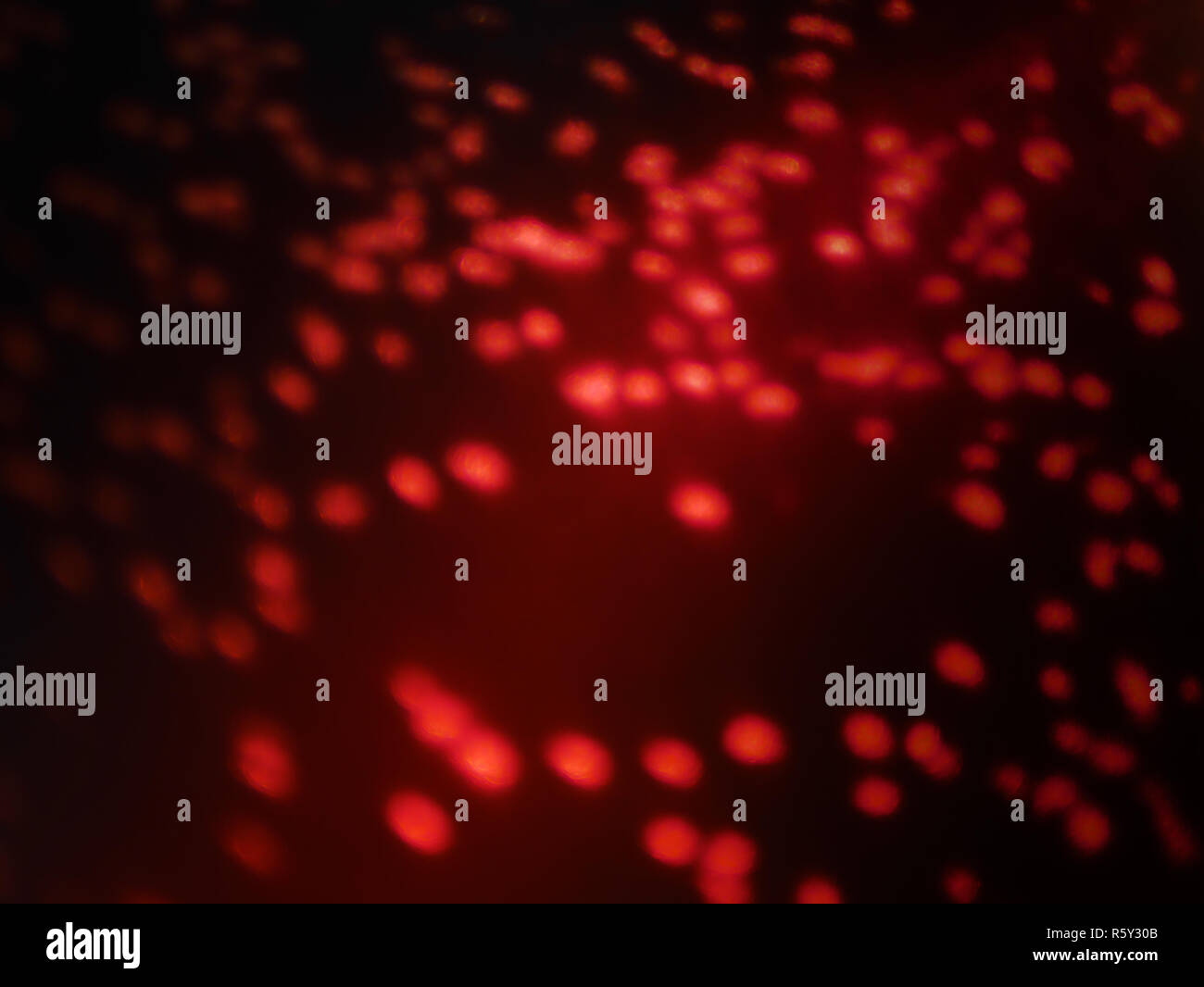 blurred defocused red bright light. lens flare. shiny spots. dark ...