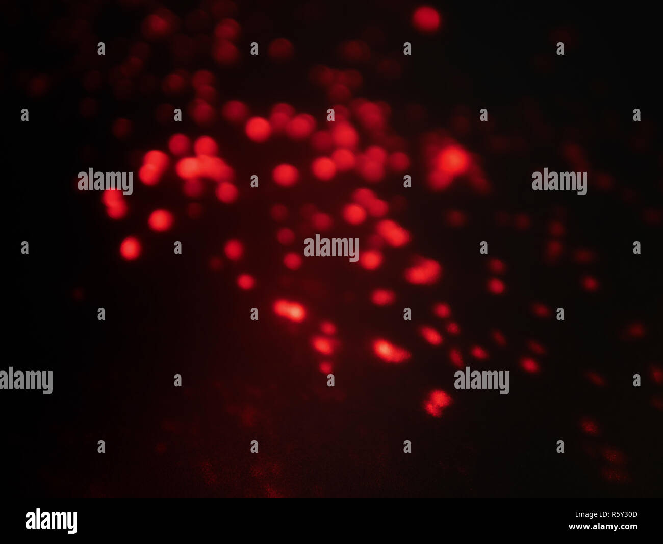 lens flare. red color abstract. bokeh light on black background Stock ...