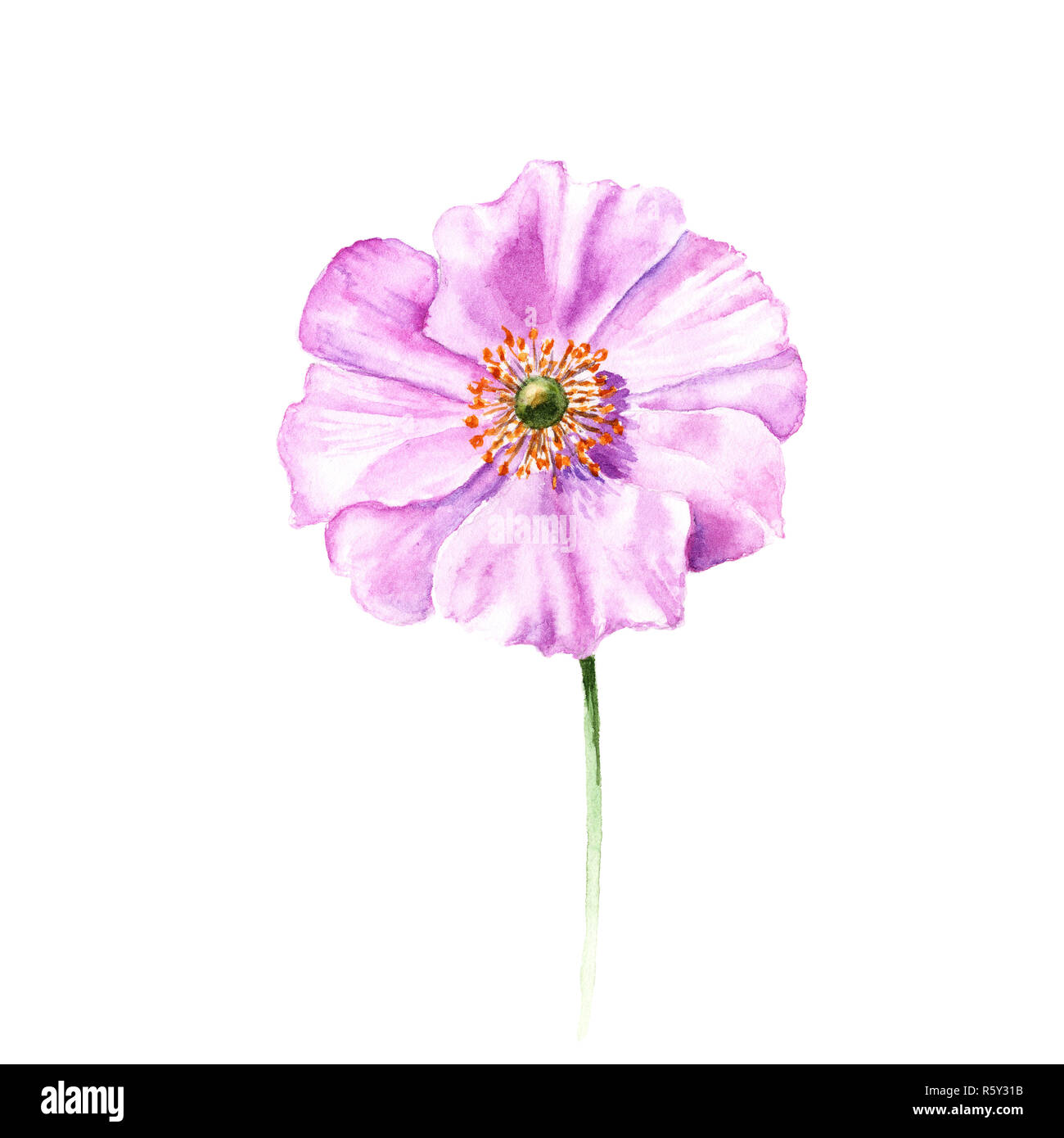 Watercolor Single Flower