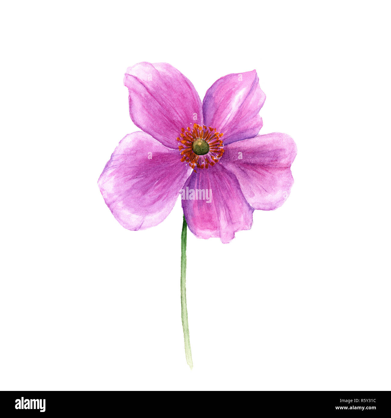 Watercolor Single Flower