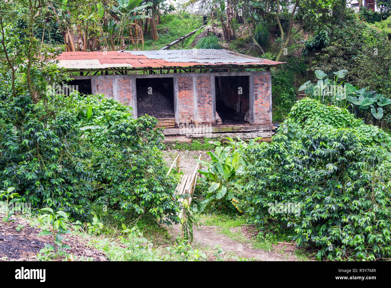 Brick Building on a Coffee Plantation Stock Photo - Alamy