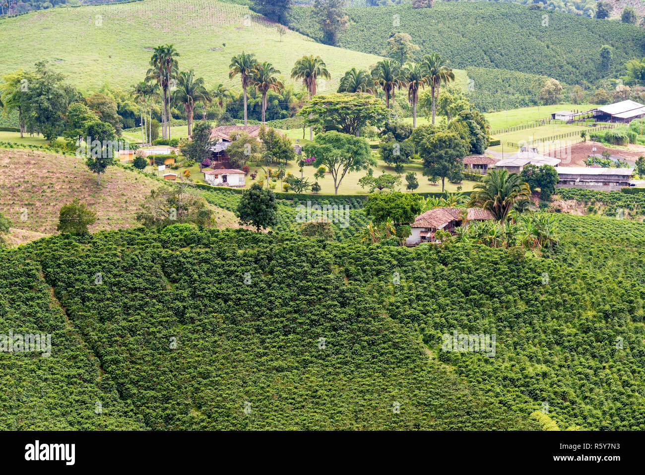 Coffee Landscape and Buildings Stock Photo - Alamy