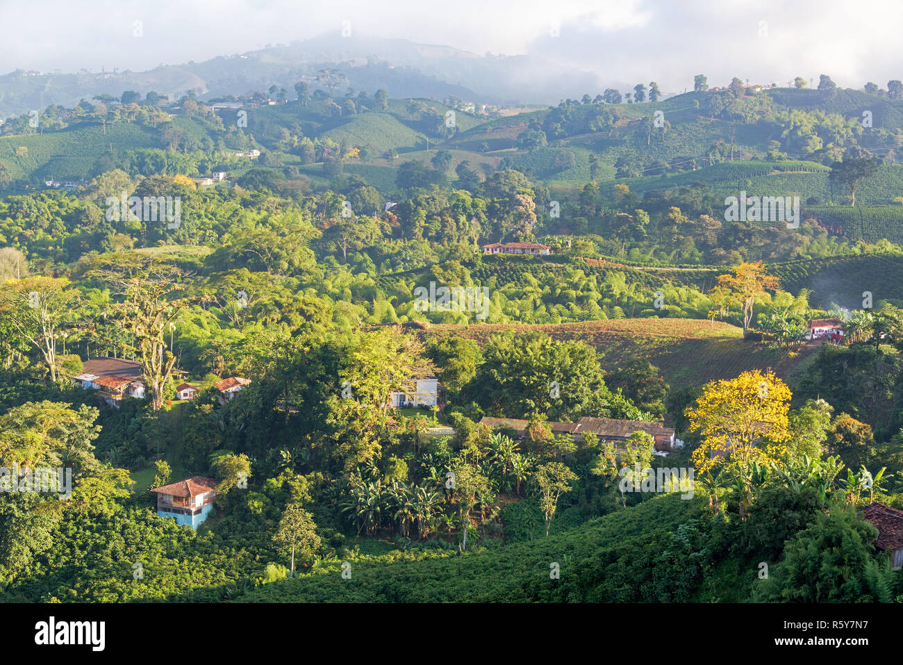 Rural Landscape in Colombia Stock Photo - Alamy