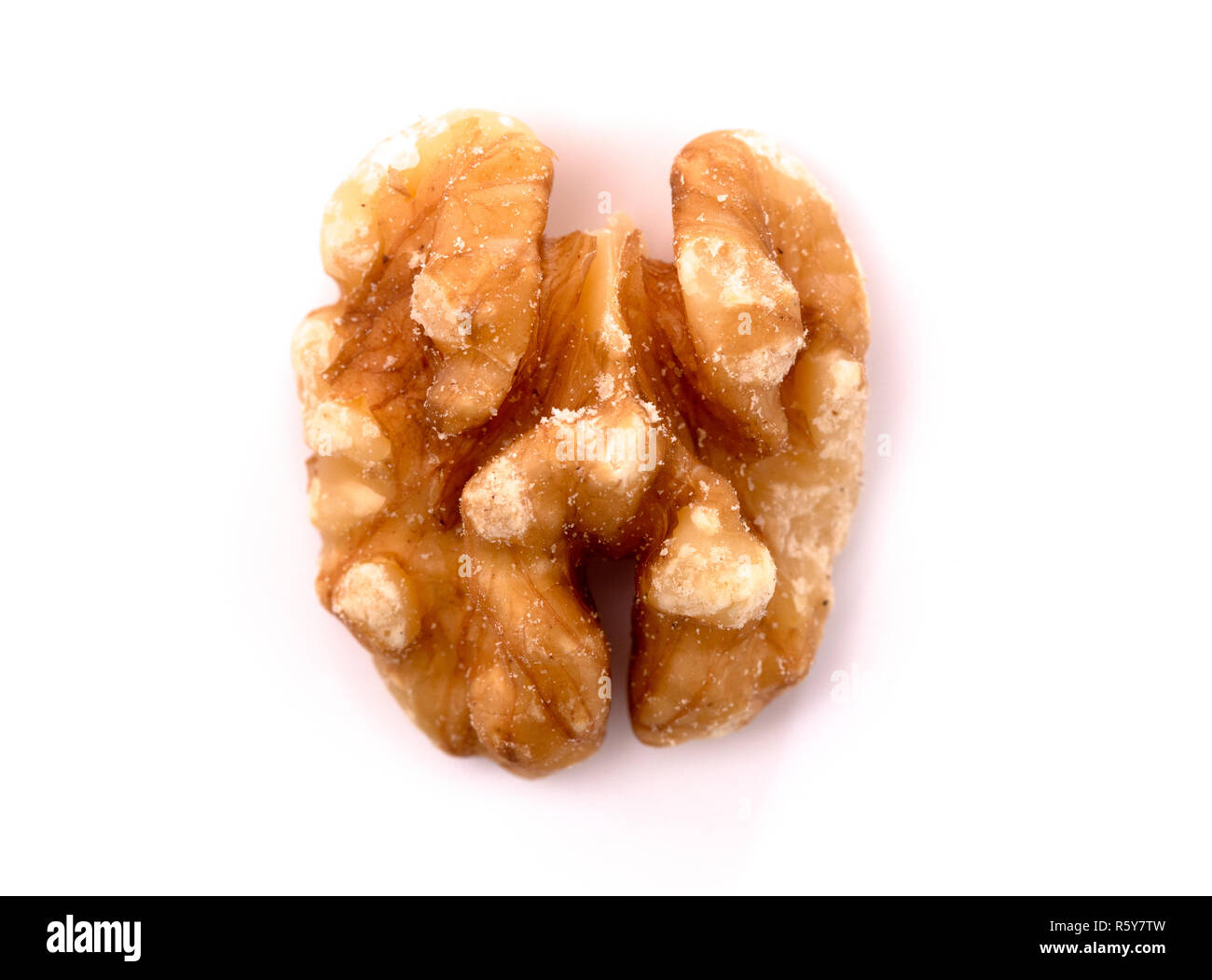 One Healthy Walnut Half on a White Background Stock Photo - Alamy