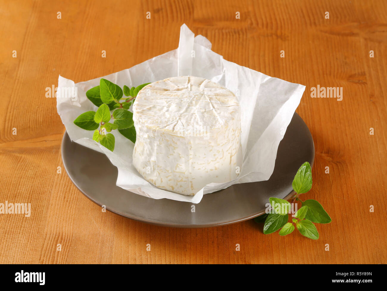 French Chaource cheese Stock Photo - Alamy