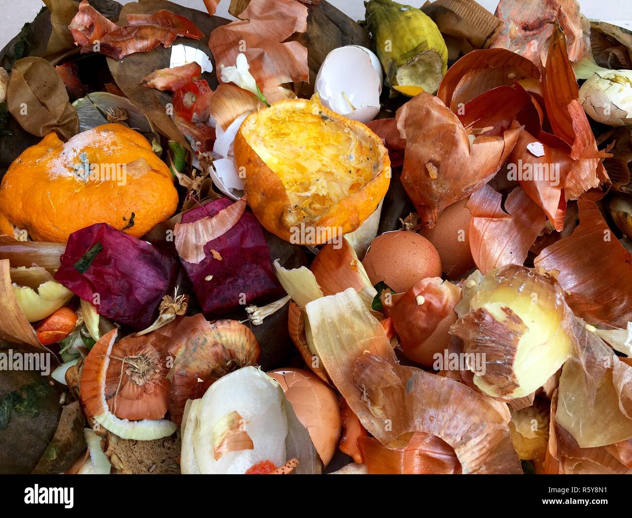 moldy fruits and vegetables Stock Photo - Alamy