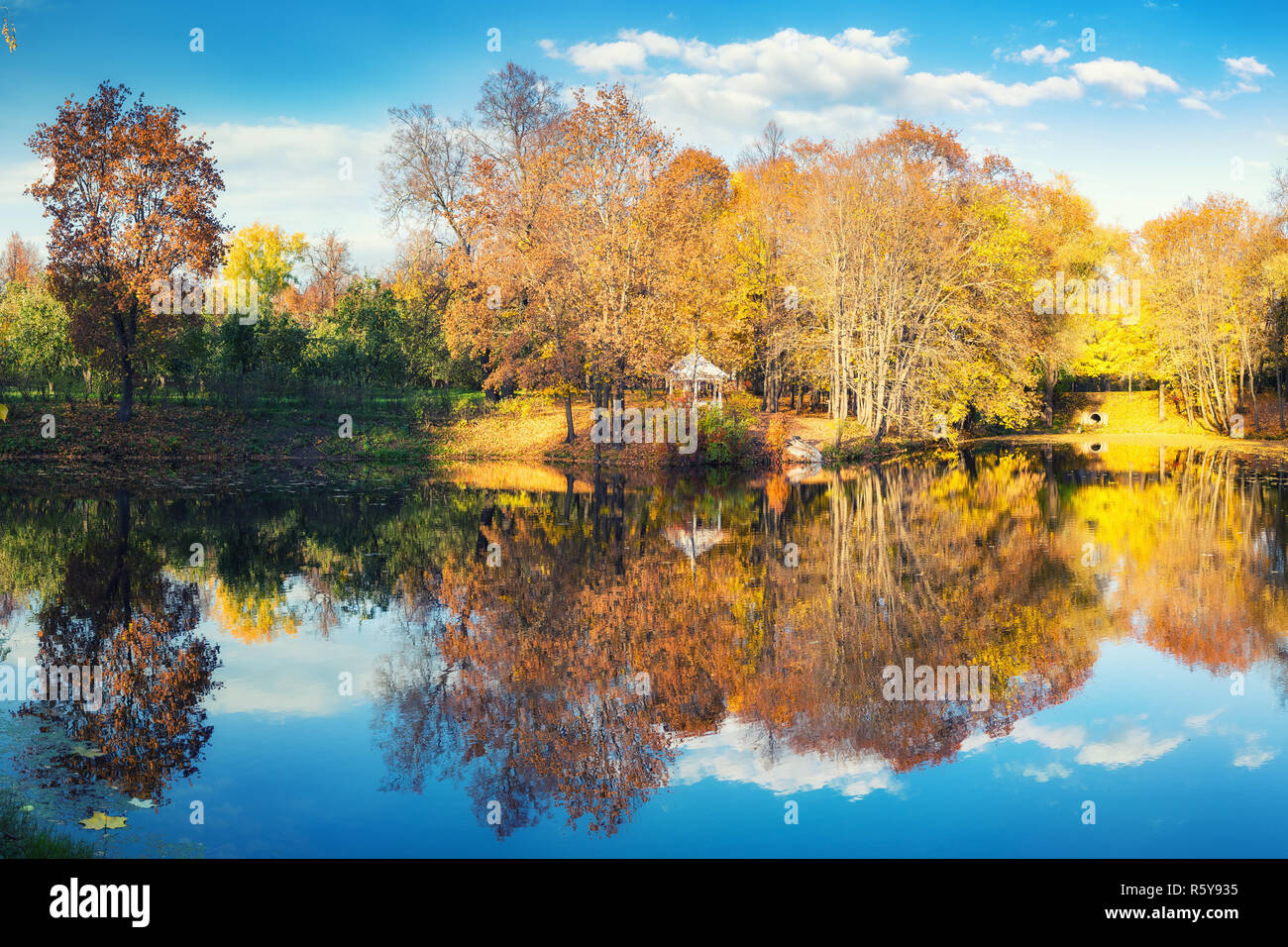 Sunny autumn in the park over lake Stock Photo - Alamy