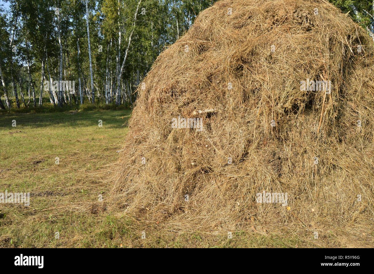 beautiful rustic background with haystack on the meadow Stock Photo - Alamy