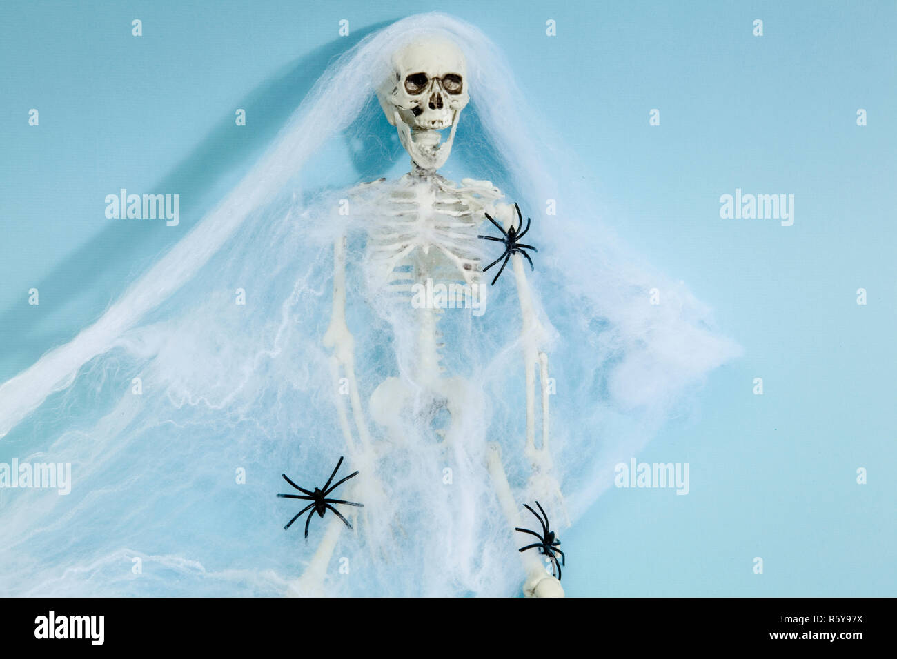 Human skull with spider hi-res stock photography and images - Alamy