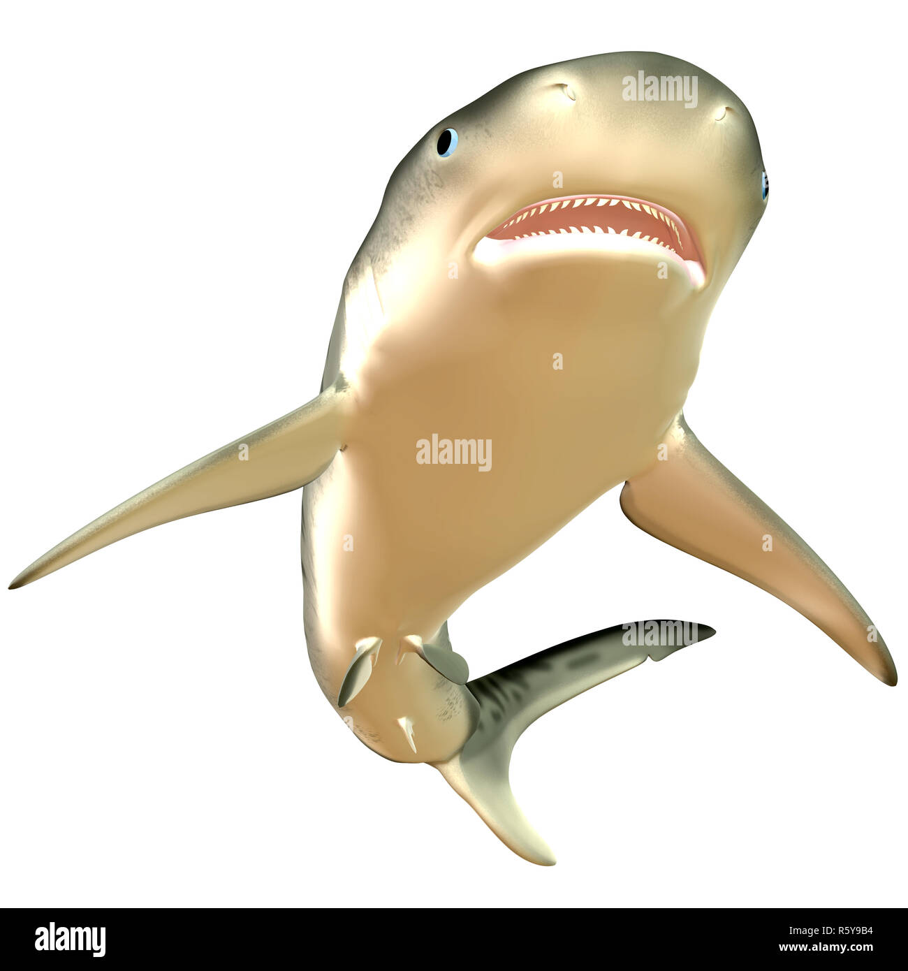 Tiger Shark Body Stock Photo - Alamy