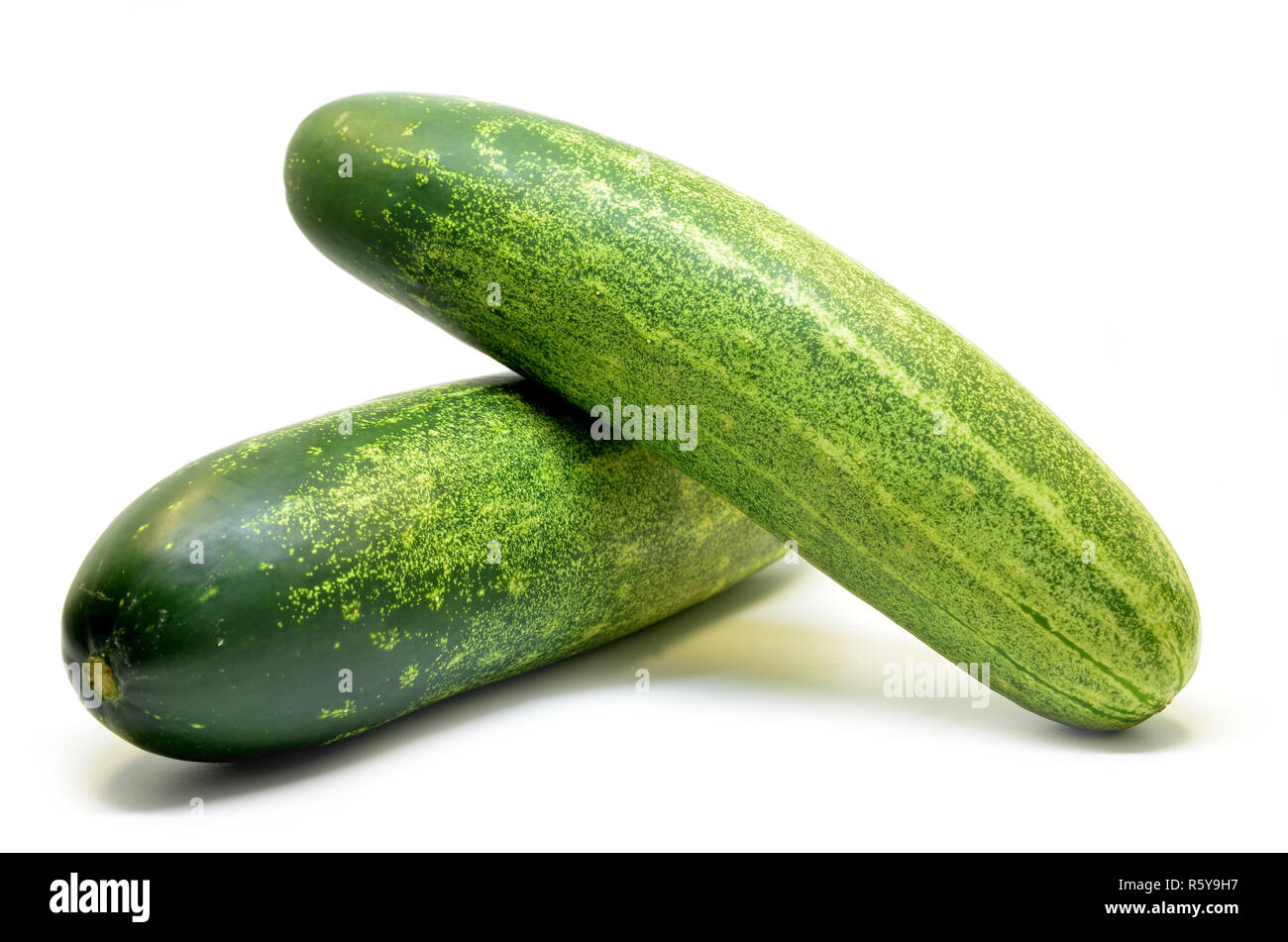Fresh green cucumber Stock Photo - Alamy