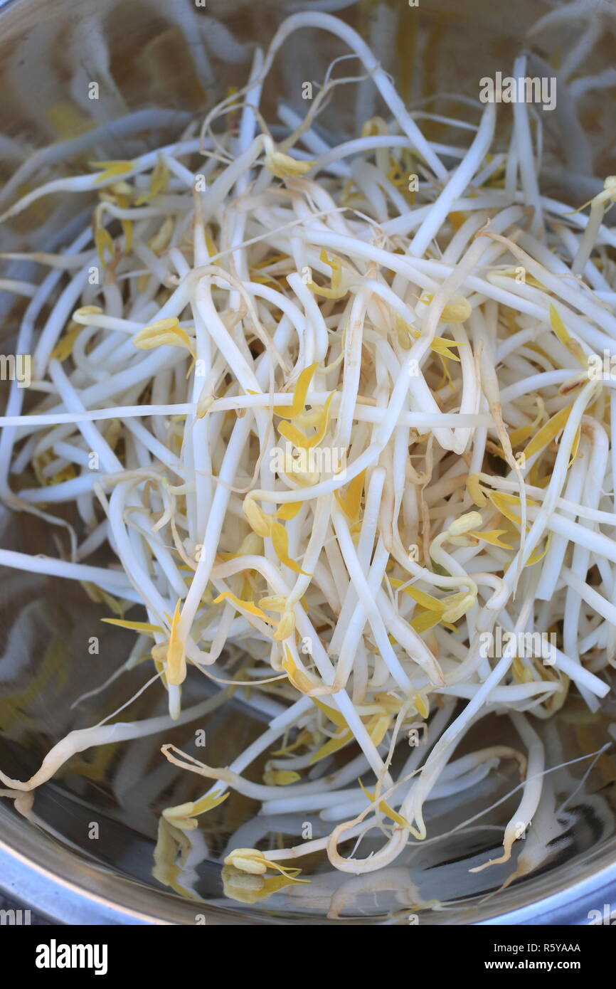 Sprouting bean hi-res stock photography and images - Alamy