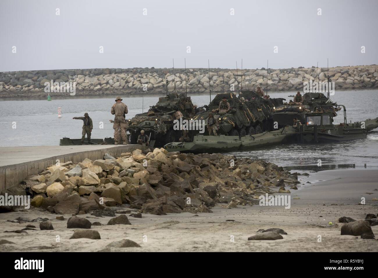 Marines with D Company, 1st Light Armored Reconnaissance Battalion, 1st ...