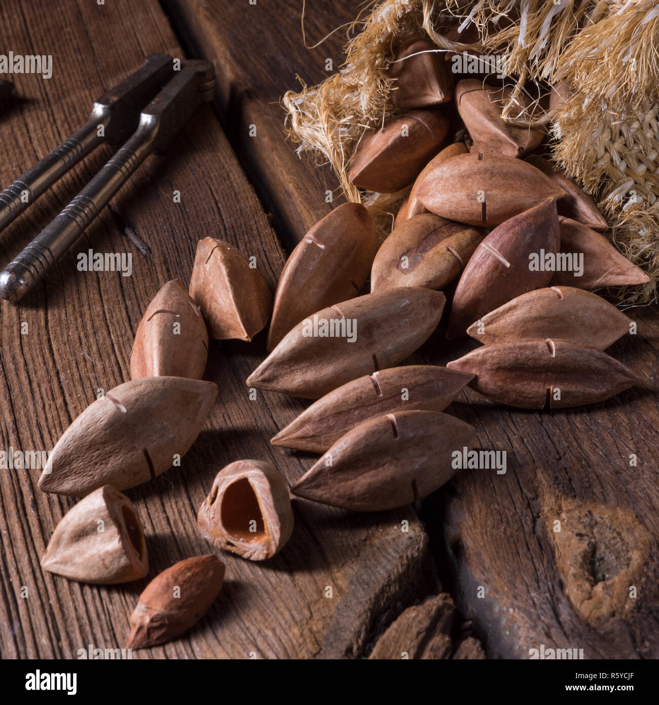 canarium ovatum,commonly known as pili is a species of tropical tree ...