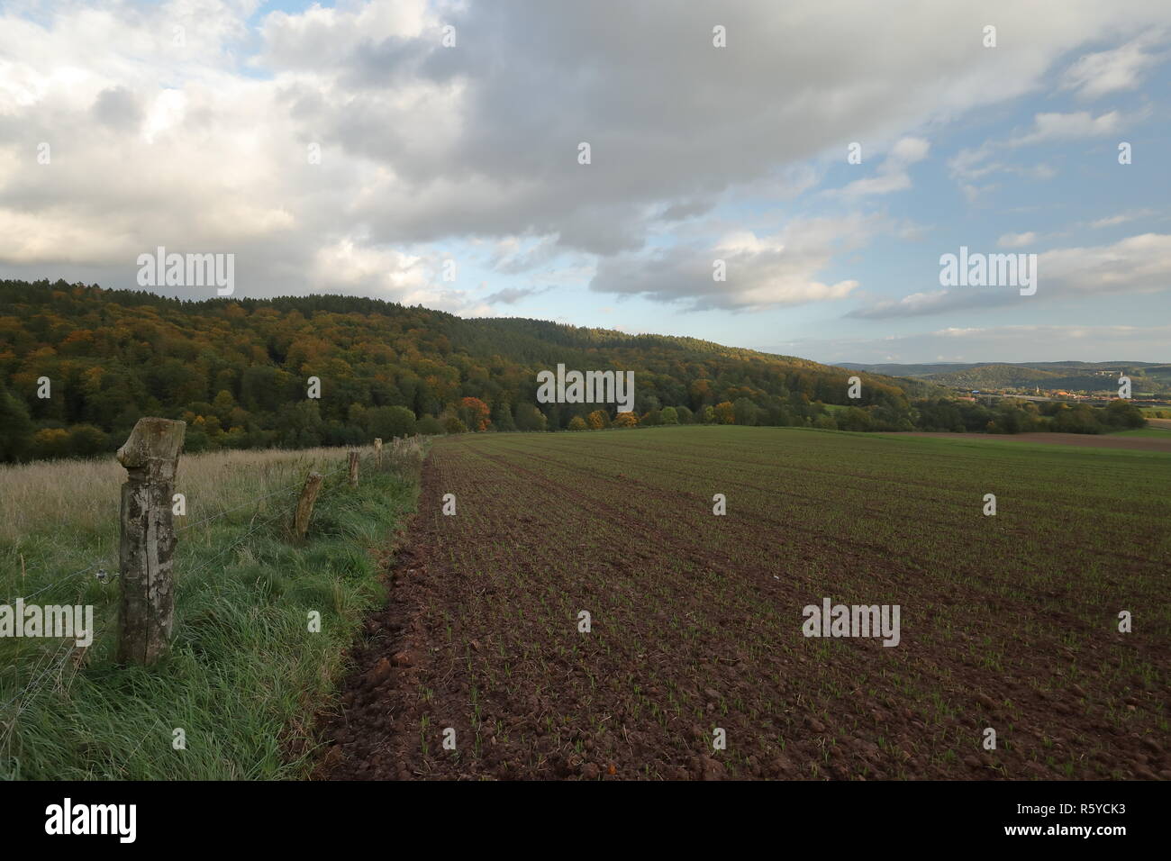 agriculture and fields in germany Stock Photo - Alamy